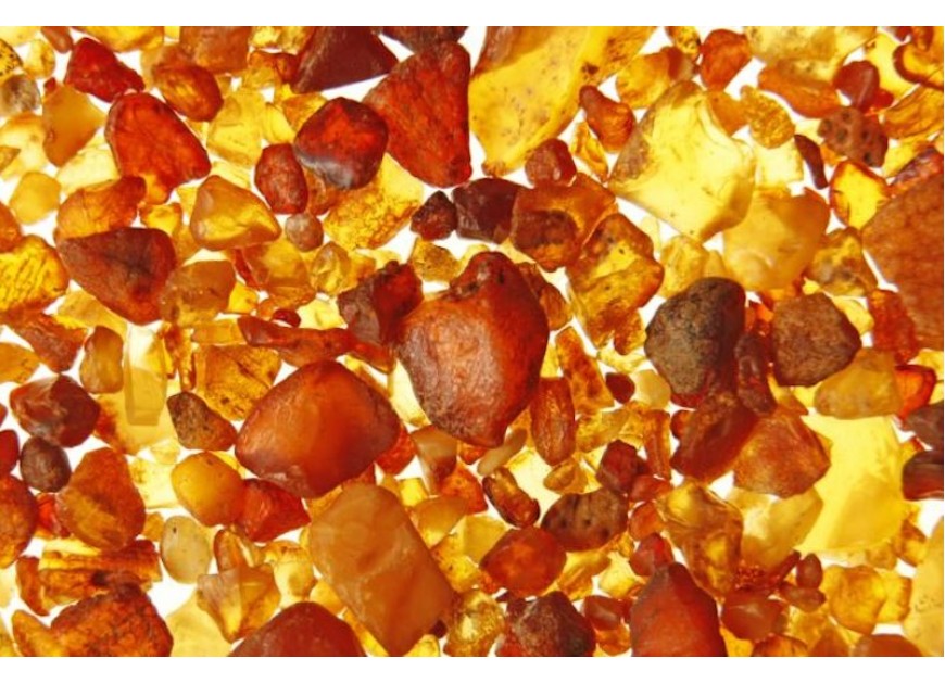 TV8.md - Prins cu chihlimbar de contrabandă în vama română. Un cetățean ...