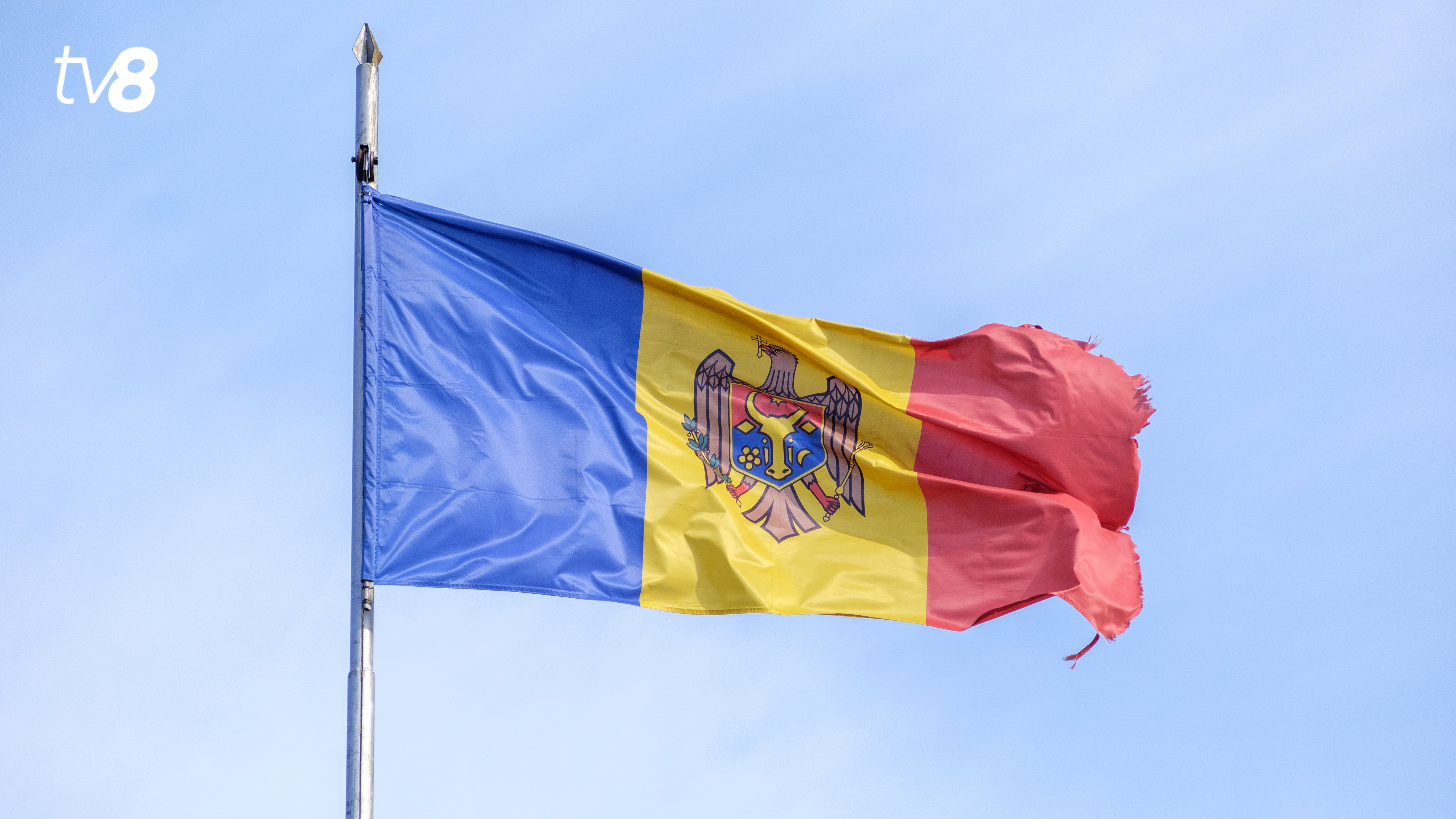 TV8.md - Arborarea digitală a tricolorului: Îndemnul autorităților de ...
