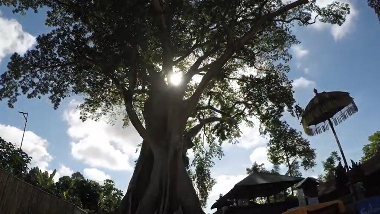 TV8.md - O influenceriță din Rusia, expulzată din Bali pentru că a ...