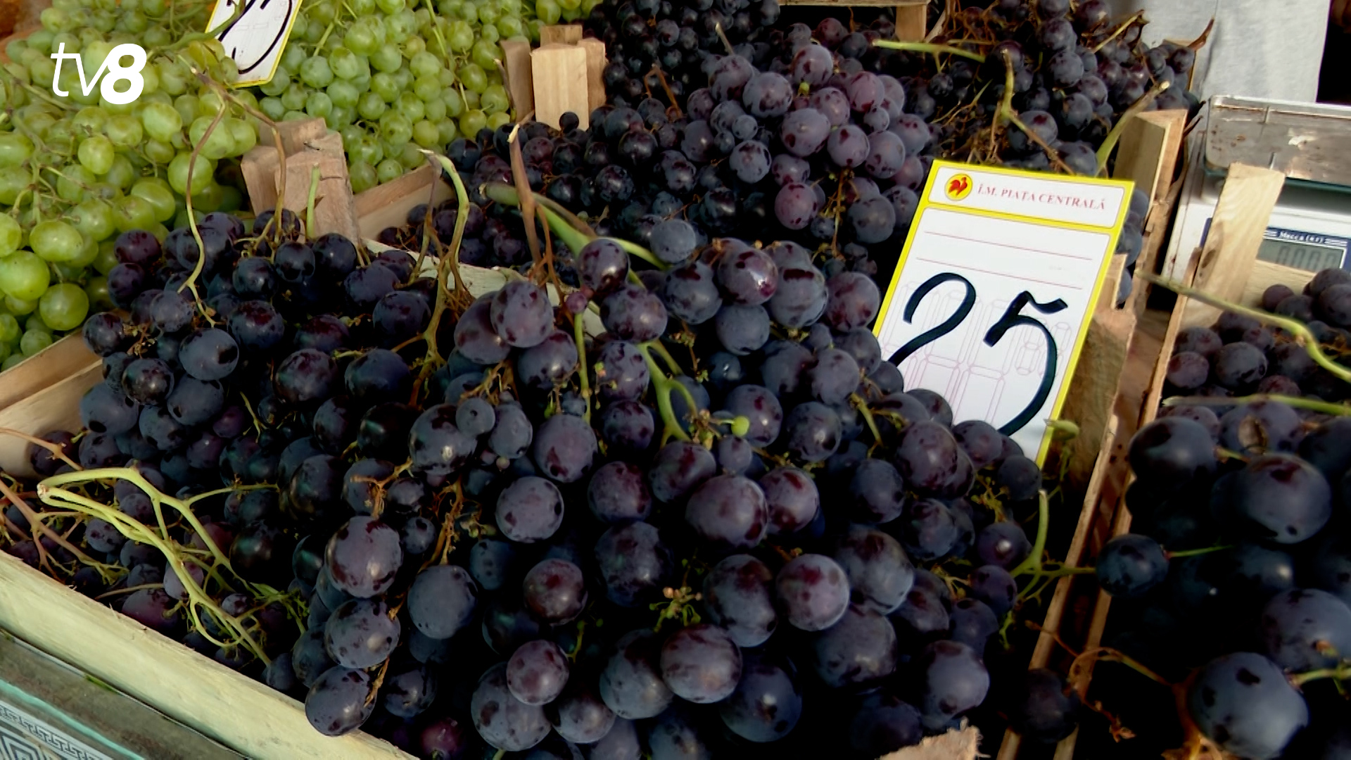 TV8.md - La tarabele din piețe a început vânzarea strugurilor de masă ...
