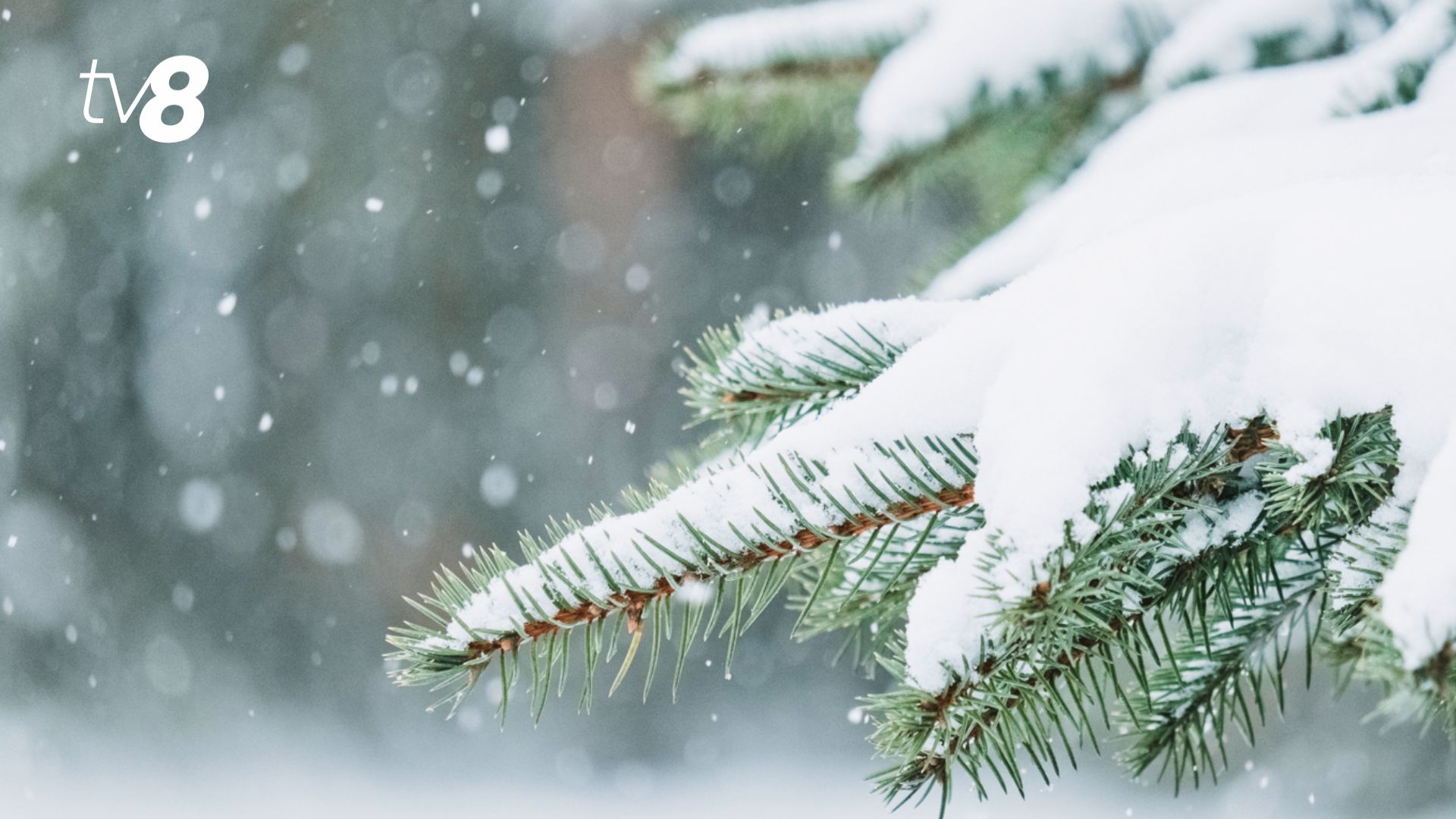 TV8.md - /METEO/ Ninsori slabe și cer variabil. Cum va fi vremea astăzi ...