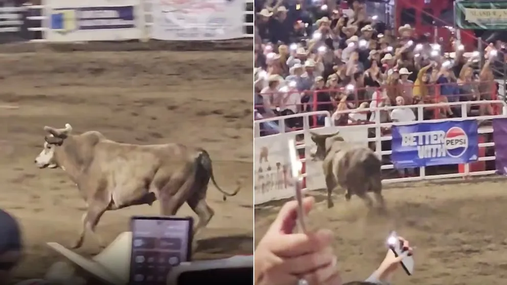 TV8.md - /VIDEO/ Panică la un rodeo din SUA: Momentul în care un taur ...