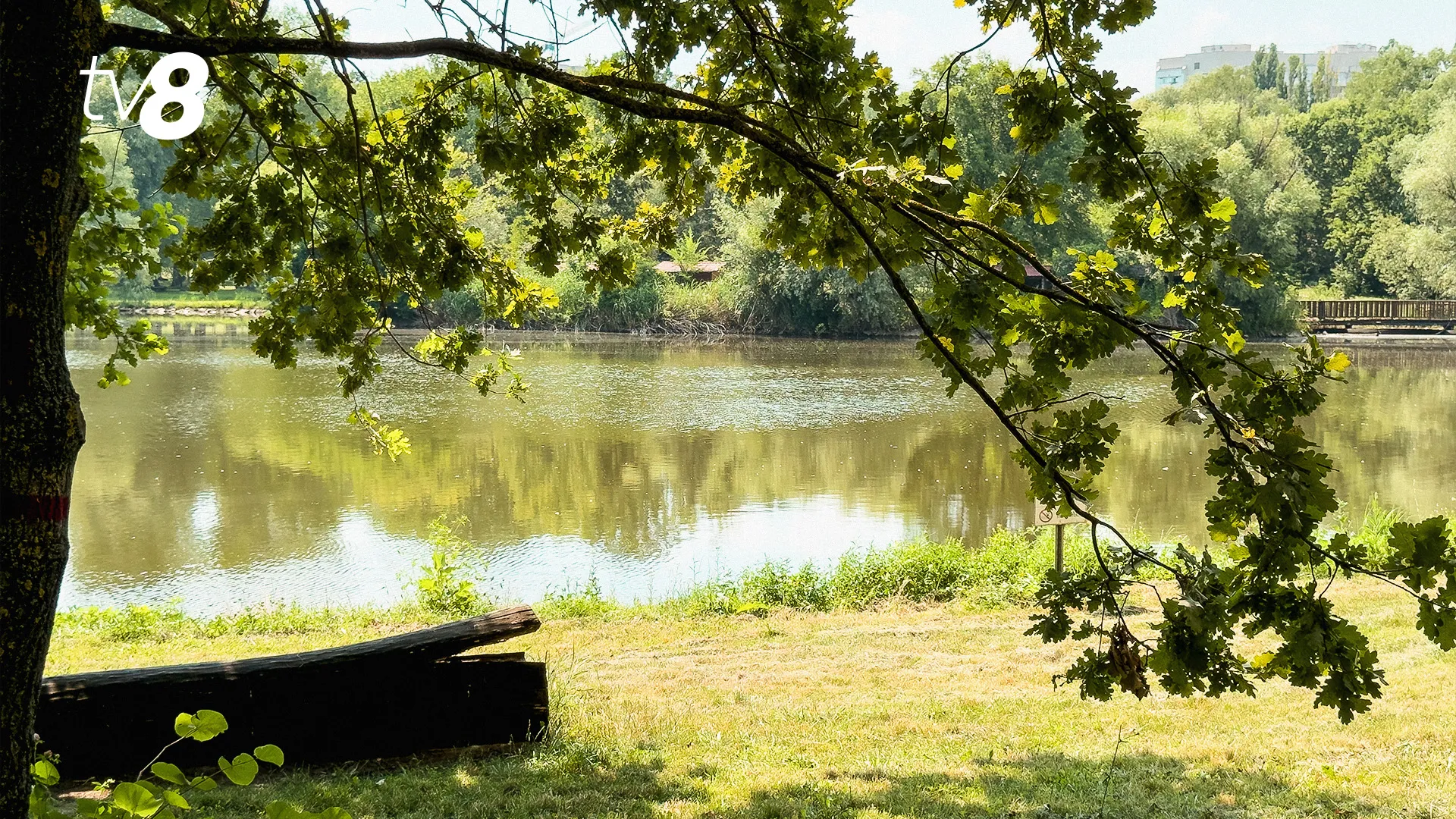 TV8.md - /METEO/ Vreme tot mai caldă și vânt slab: Ce temperaturi vom ...