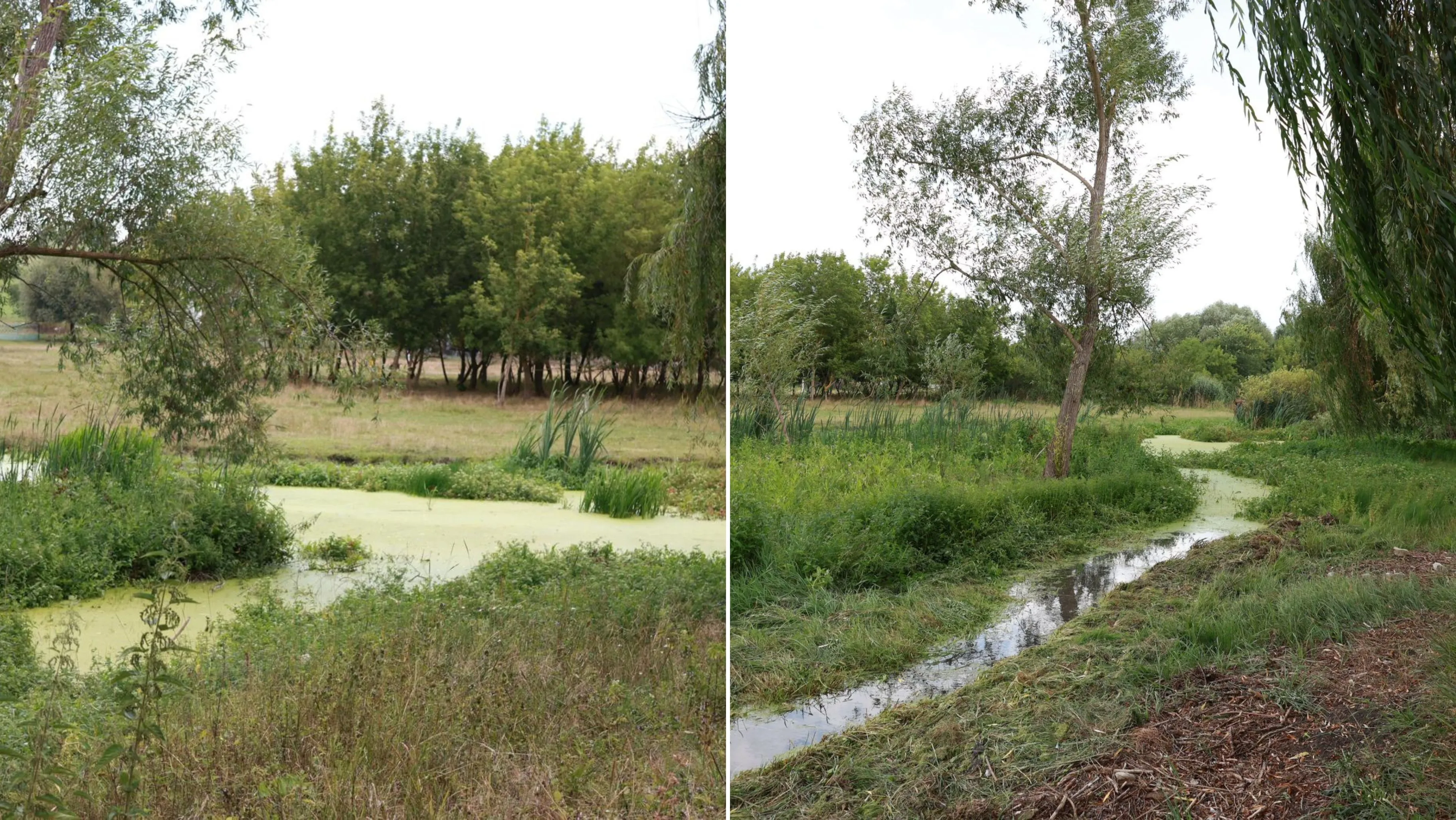 TV8.md - /VIDEO/ De la 3 metri, a ajuns la 50 de centimetri: Cum vor ...