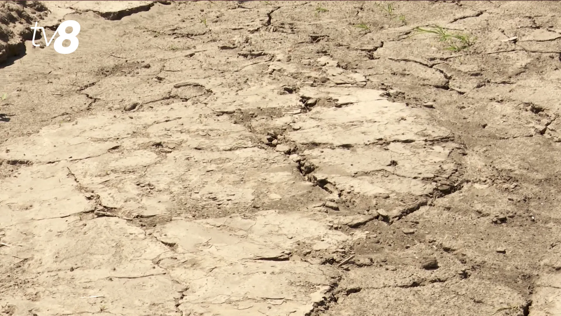 TV8.md - /VIDEO/ Cernoziom tot mai infertil și soluții scumpe: Satul cu ...