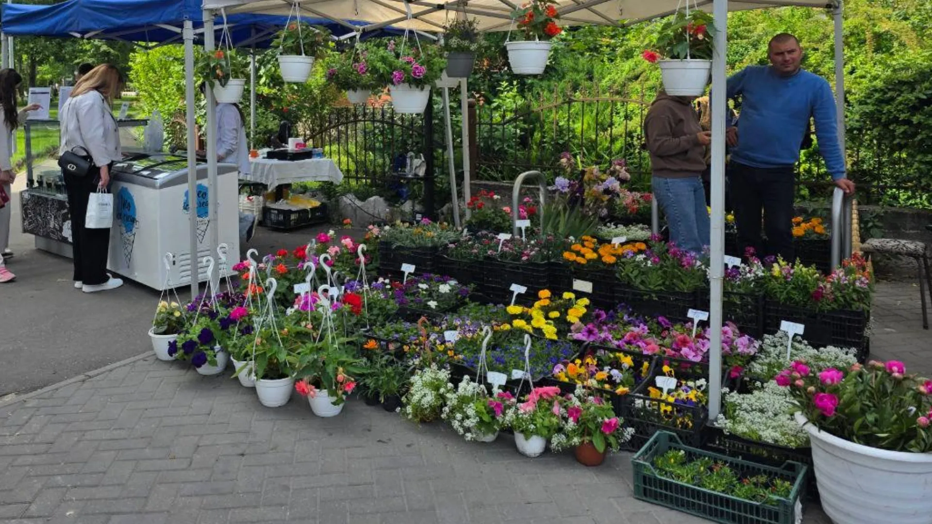 TV8.md - Gusturi de sezon și produse handmade în weekendul 12-13 iulie ...