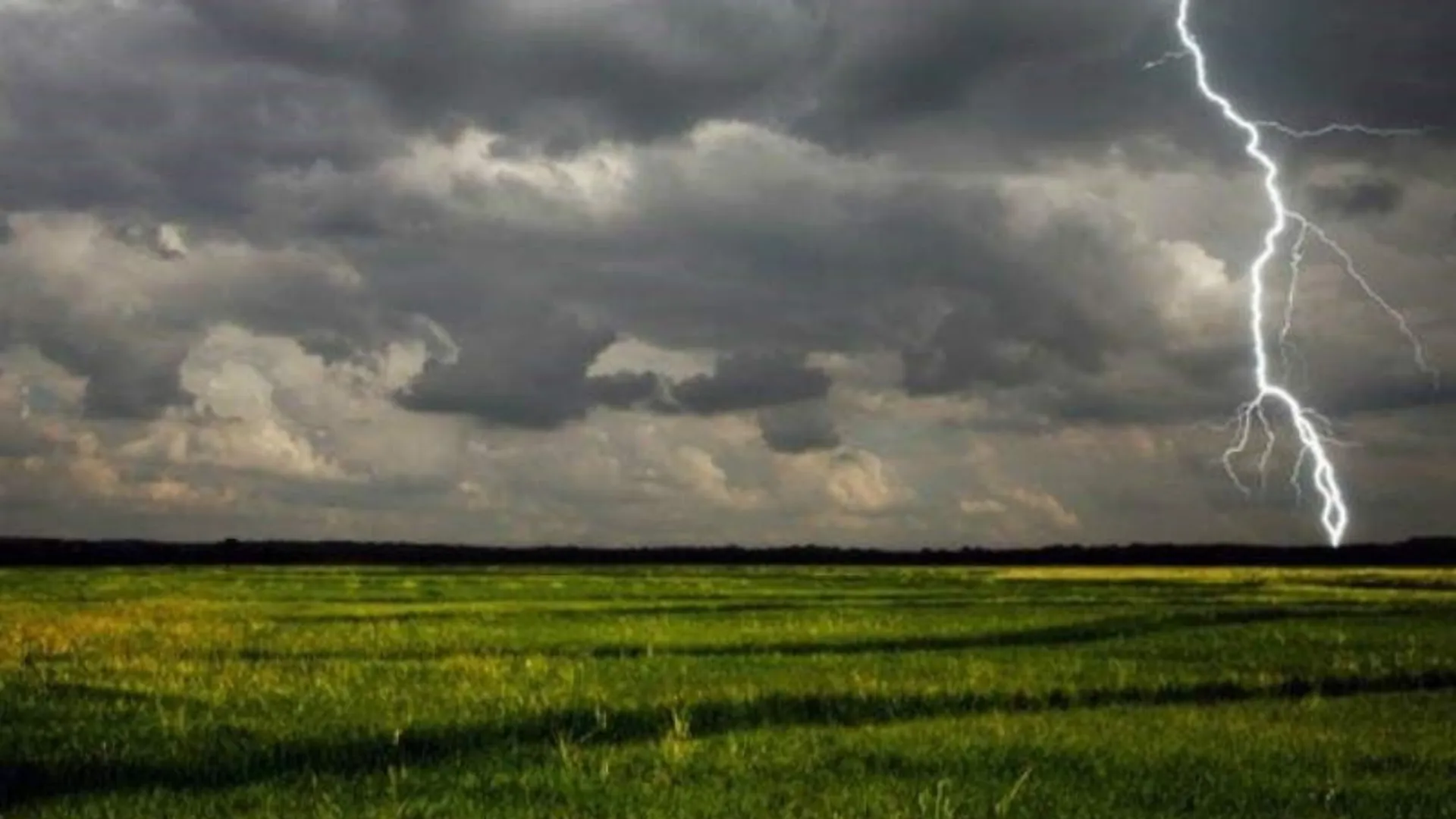 TV8.md - /METEO/ Vreme caniculară și ploi: Temperaturile prognozate pe ...