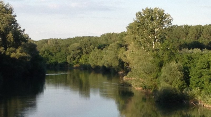 15 noiembrie 2018, ora 12:39