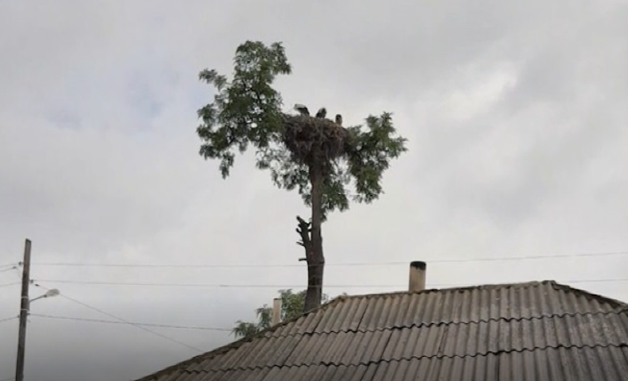 18 iulie 2019, ora 00:34