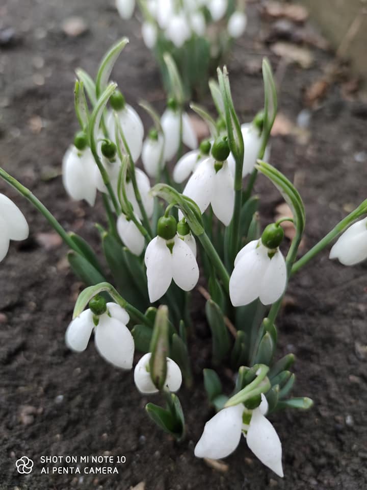 01 februarie 2020, ora 16:48