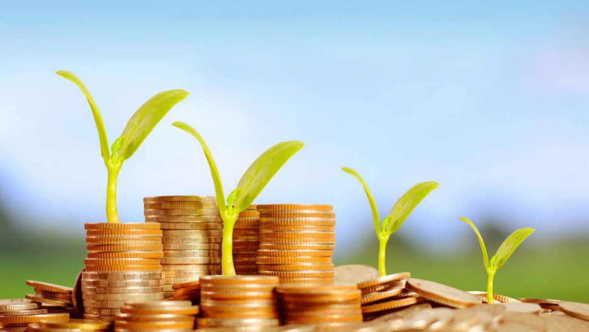 TV8.md - Subvenții de 155 milioane de lei: Aproape 800 de agricultori ...