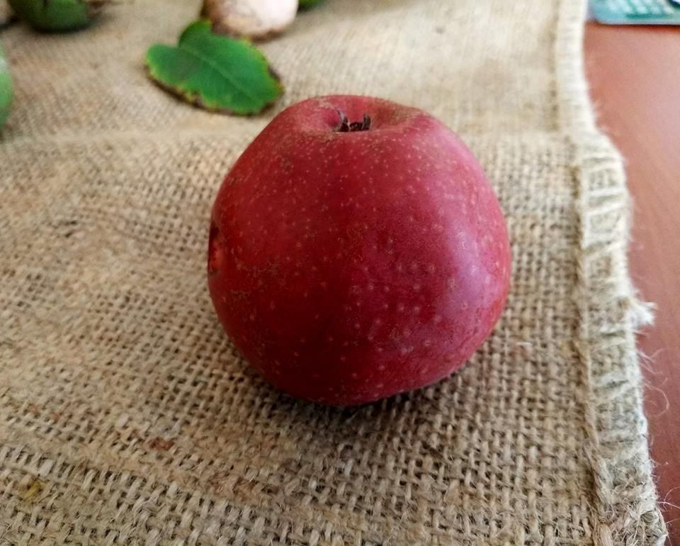 /FOTO/ În Moldova a fost creat primul soi de măr cu miezul roșu. Cum ...